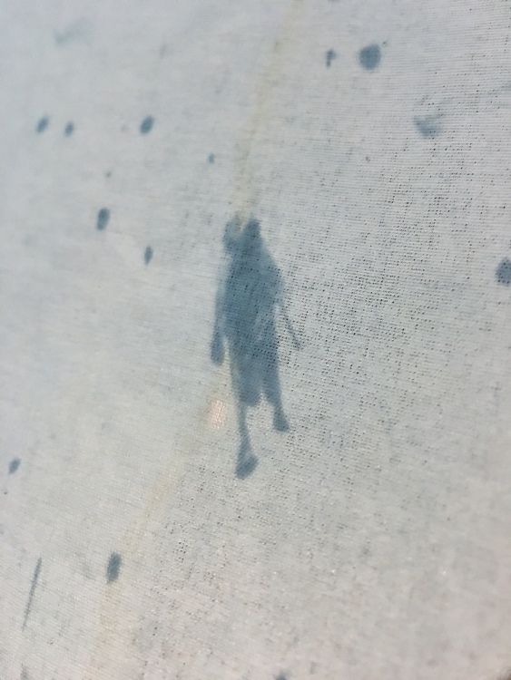 Decent Sampler – Pianobook